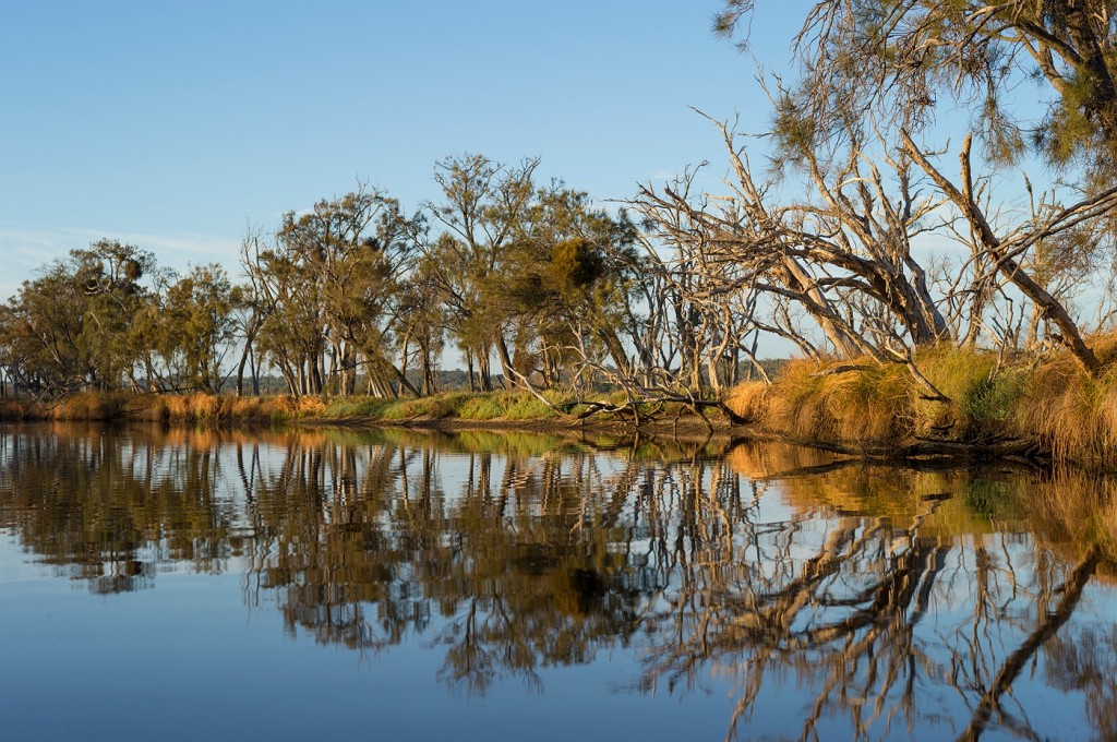 The Harvey River – Project 2014 – Rob Dose, Landscape and Portrait ...
