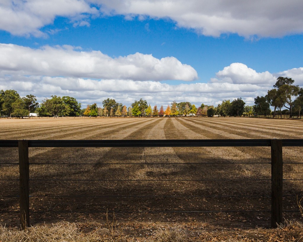 Harvey Dam with the EF-M 11-22 – Rob Dose, Landscape and Portrait ...