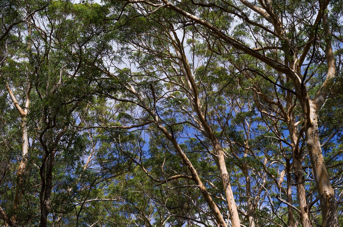 An impromptu drive to Augusta. – Rob Dose, Landscape and Portrait ...