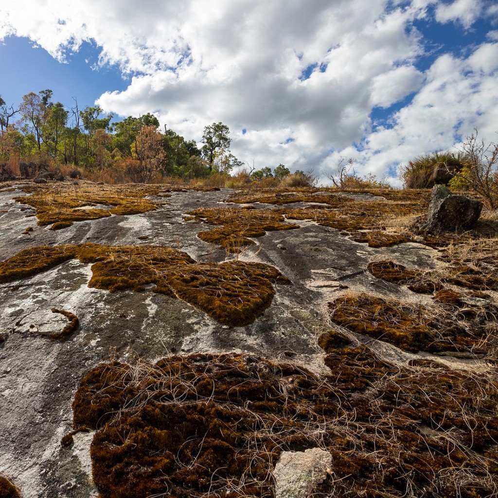 Harvey Dam with the EF-M 11-22 – Rob Dose, Landscape and Portrait ...