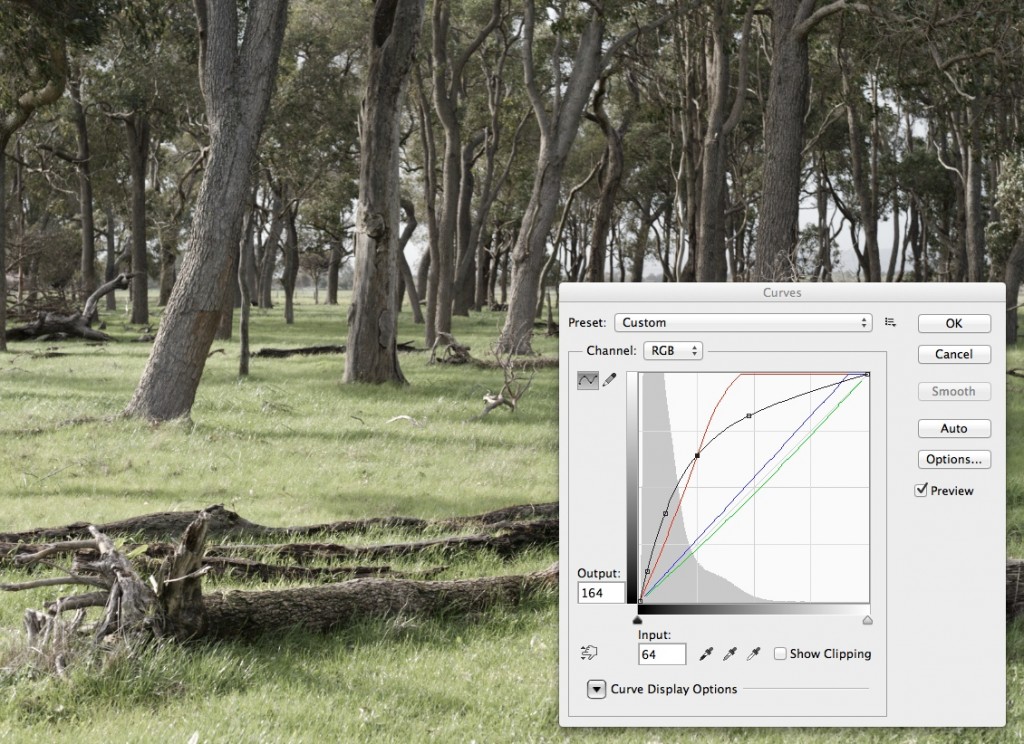 Extracting the raw image data from a DNG – Rob Dose, Landscape and ...