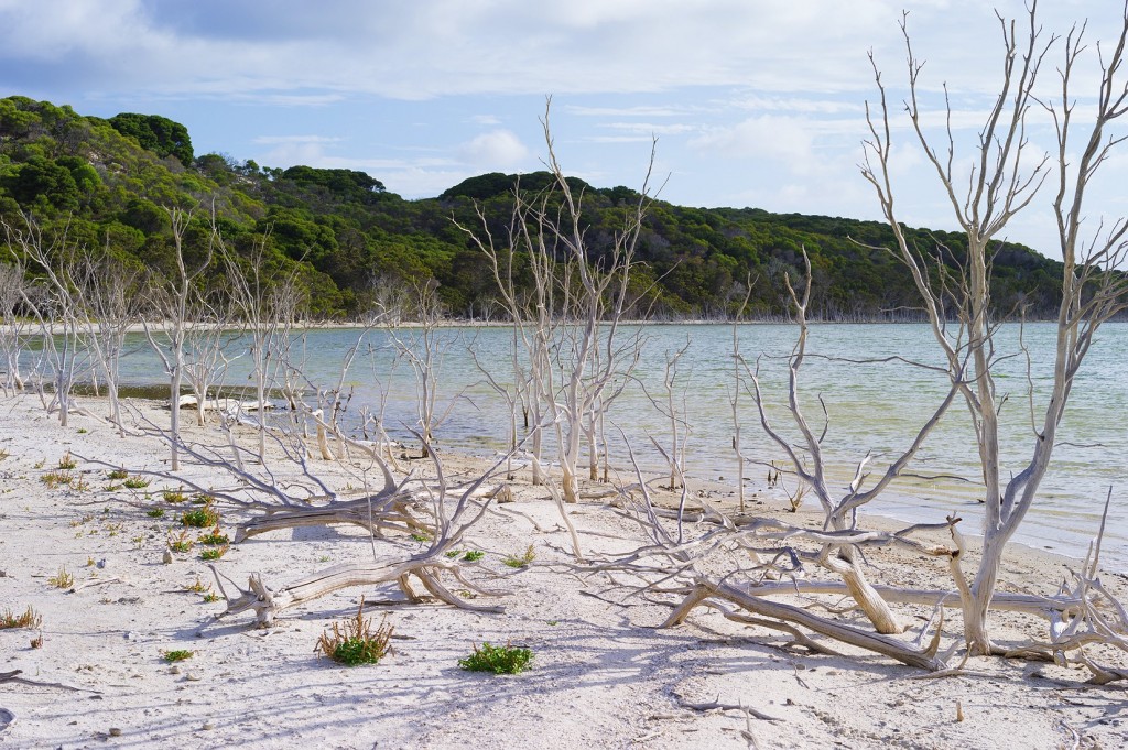 Hammersley Inlet, Fitzgerald River NP – Rob Dose, Landscape and ...