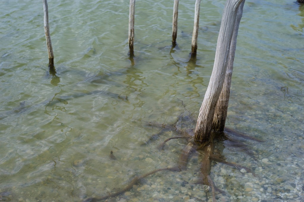 Hammersley Inlet, Fitzgerald River NP – Rob Dose, Landscape and ...