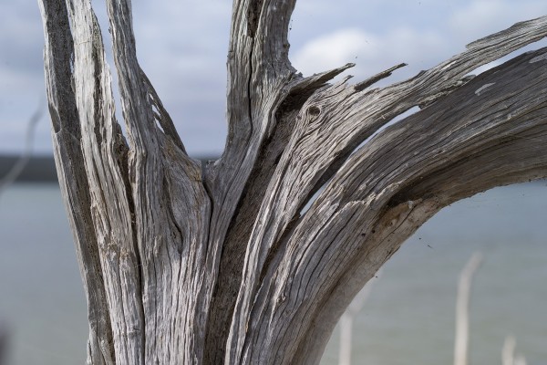 Hammersley Inlet, Fitzgerald River NP – Rob Dose, Landscape and ...